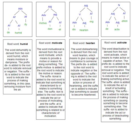 Solved Part Iii Morphology Trees Draw A Morphology Tree Of Each Of