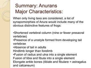 Anurans Pptx