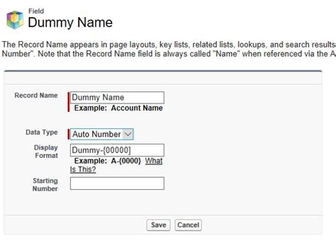 Api Custom Field As Name Field Salesforce Stack Exchange