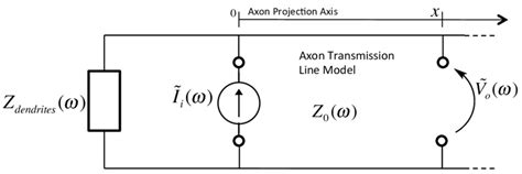 2 Equivalent Circuit Of The Linear Channel Model Download Scientific Diagram