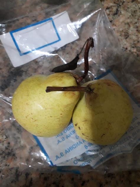 Pera Packhams Triumph From Jequitibás Hortifruti Vegan Product Reviews And Ratings Abillion