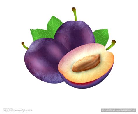 西梅插画素材设计图广告设计广告设计设计图库昵图网