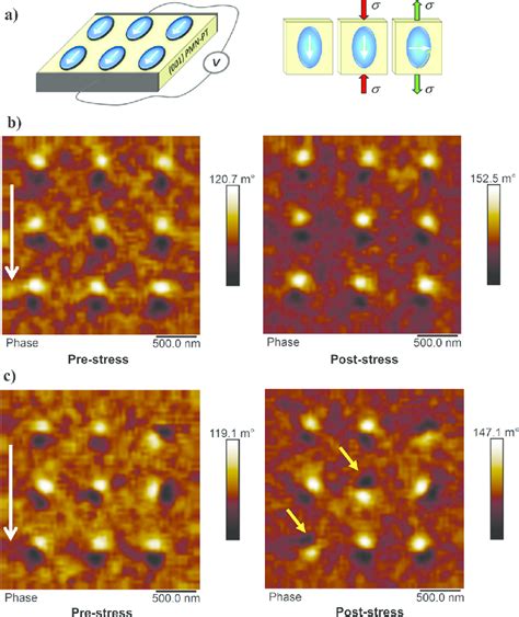 Clocking Of Single Domain Magnetostrictive Nanomagnets On Bulk Download Scientific Diagram