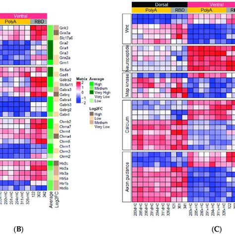 A Intersection Between Genes Undergoing Differential Transcript Usage