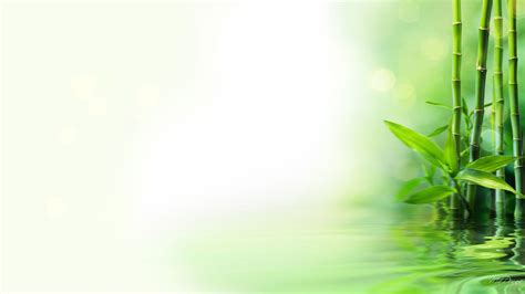 Красивый фон для презентации по биологии фото и картинки Abrakadabra Fun