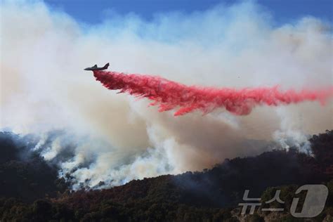 포토 팰리세이즈 산불 진화하는 캘리포니아 소방 헬기 뉴스1