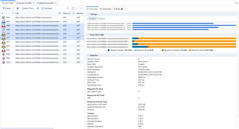 Session Overview Fiddler Everywhere