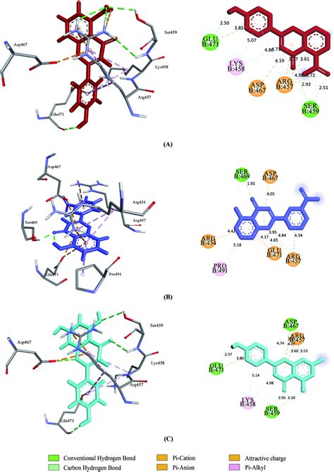 2d And 3d Representation Of Molecular Docking Analysis Between The