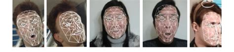 Facial Motion Tracking Results Download Scientific Diagram