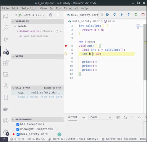 Dart Null Safety Seredata