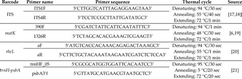Primer Sequences And The Thermal Cycles For Amplification Reactions Of Download Scientific