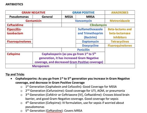 Antibiotic Cheat Sheet Etsy