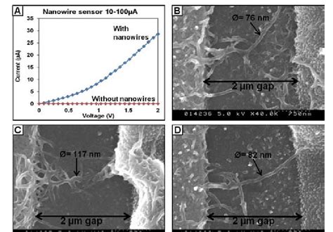 A I V Curve Of The Sensor Device Measured Before And After Download Scientific Diagram