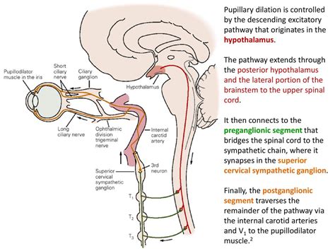 Julie Lee Mbb Pbl Case 2 “jerry And Chuck” Ppt Download