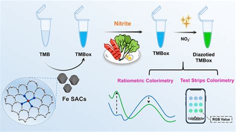 Fe Single Atom Nanozyme Catalysts For Sensitive And Selective Detection Of Nitrite Via