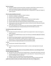 Enzymes Docx What Are Enzymes Enzymes Are Globular Proteins That Function As Biological