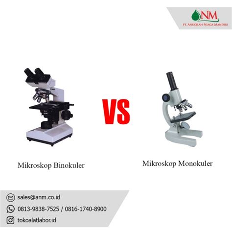 Perbedaan Mikroskop Monokuler Dan Mikroskop Binokuler Preparat Mikroskop