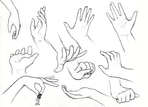 The Best Free Reference Drawing Images Download From 1837 Free