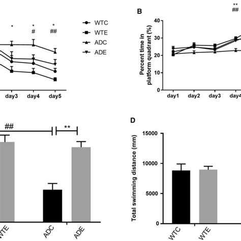 Effect Of Treadmill Exercise On The Acquisition Of Mwm Task N 6 For Download Scientific