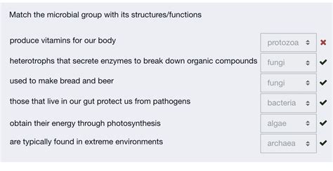 Solved Match The Microbial Group With Its