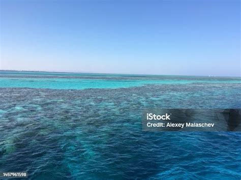 푸른 하늘과 푸른 바다 넓은 바다에서 지평선 바다의 청록색 배경 공간을 복사합니다 홍해 0명에 대한 스톡 사진 및 기타 이미지 Istock
