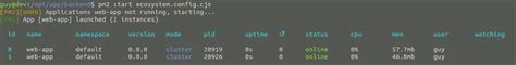 Nodejs Compiling And Running Adonis App With Pm2 Typescript