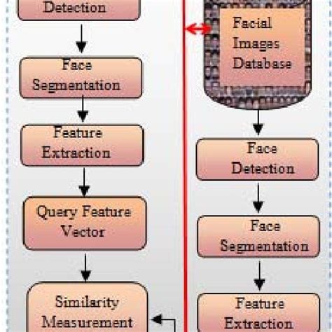 Content Based Human Facial Image Detection And Retrieval Download Scientific Diagram