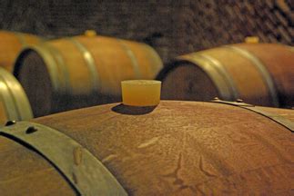 Wine Trail Traveler