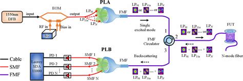 experimental setup for simultaneously measuring mdl and dmgd in fmfs