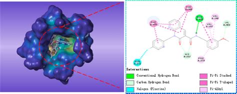 The Receptor Ligand Interaction Of Screening Compounds G622 0791 With
