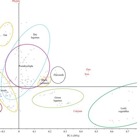 principal component analysis biplot representing 33 common food