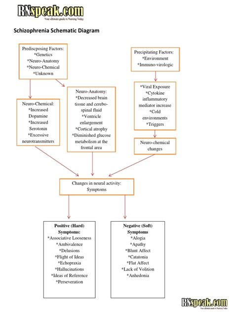 schizophrenia schematic diagram