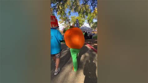 Stalking The Mandrain Youtube