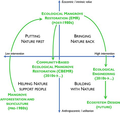 Frontiers Mangrove Rehabilitation And Restoration As Experimental Adaptive Management
