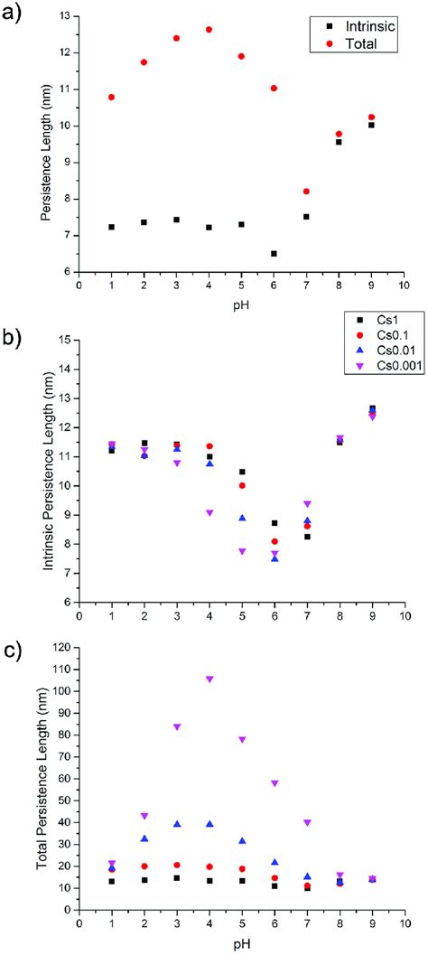 Contributions To The Persistence Length Acomparison Of L P And L P0 Download Scientific