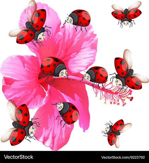Ladybugs On Flowers Clipart Drawn Picture With Ladybugs And A Flower