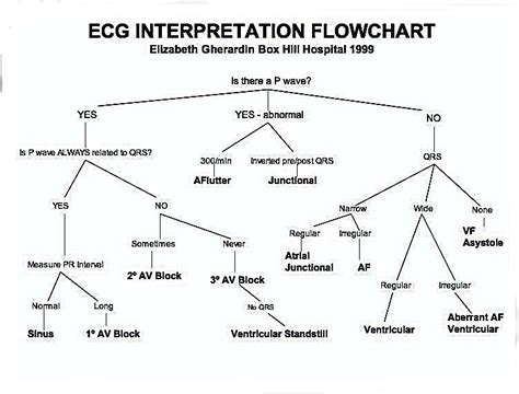 Ecg Chart