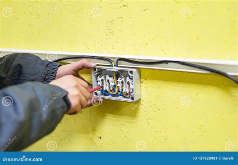 The Process Of Connecting Cables To A Dual Socket Stock Image Image Of Process Conductor