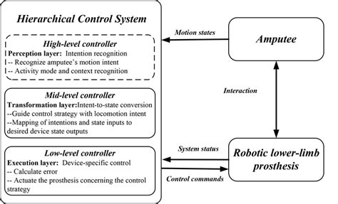 Hierarchical Control Strategy Of Intelligent Lower Limb Prostheses Download Scientific Diagram
