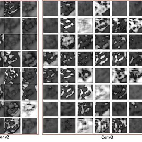 Celldiff Net Convolutional Neural Network For Wbc Differential Download Scientific Diagram