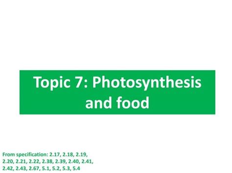 Photosynthesisintroduction Grade 9 Scienceppt Chemistry Science