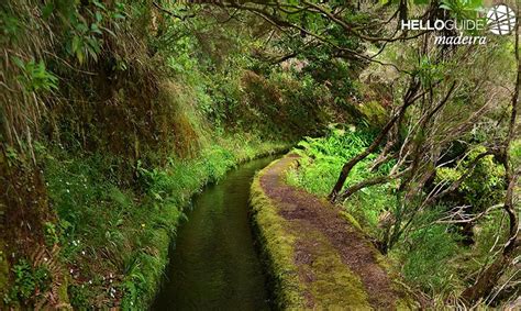 Levadas Da Madeira 2017 08 11 Foto