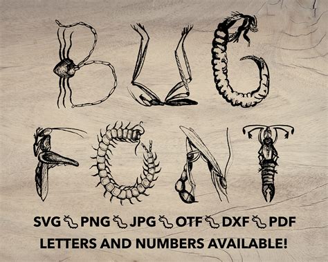 bug font svg insect alphapack bug font for cricut svg png otf