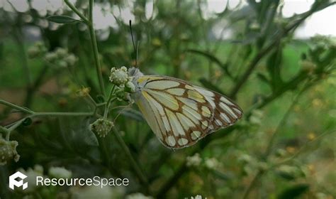 Every Digital Asset Has Its Own Lifecycle That Needs To Be Defined And