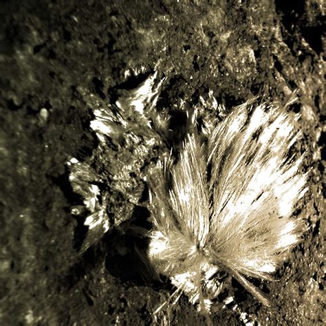 Example Part 2a Asbestos Cement Decision Algorithm [rev01] Sobra