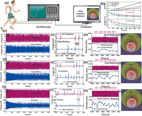 The Human Exercise Monitoring A The Schematic Diagram Of Human