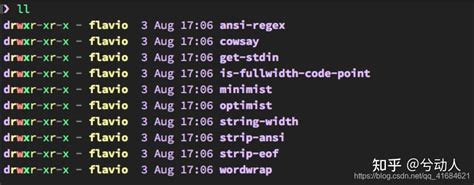Npm 安装包的路径在哪里 知乎