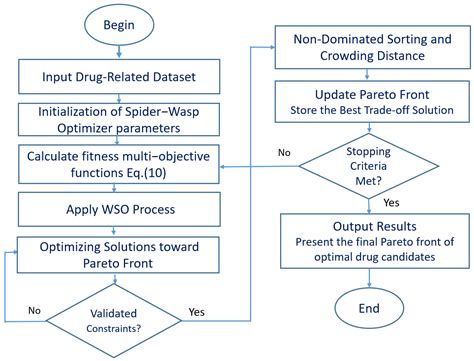 Designing Effective Drug Therapies Using A Multiobjective Spider Wasp Optimizer