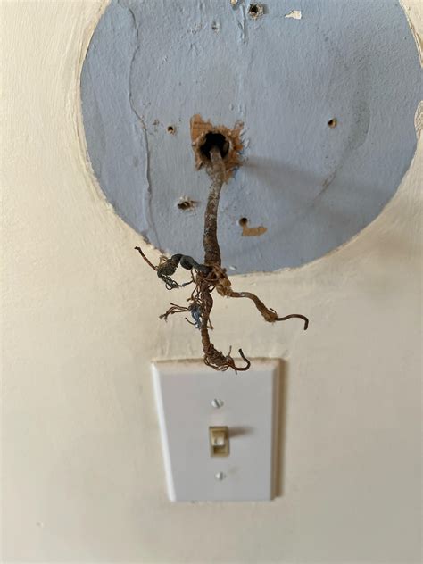 684 Best Recobee Images On Pholder How In The World Do I Get This To