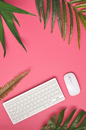 분홍색 배경에 키보드와 마우스 맨 위 보기입니다 복사 공간 공란에 대한 스톡 사진 및 기타 이미지 공란 나무 노트북 Istock